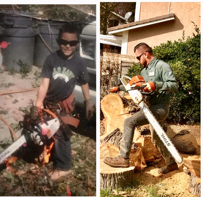 About us :: Silver Tree Service Inc